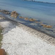 BIRD KEY PARK - 108 Photos & 14 Reviews - 101 Bird Key Dr, Sarasota ...
