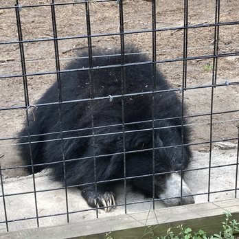 SAFARI NORTH WILDLIFE PARK - Updated October 2025 - 67 Photos & 36 ...