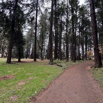 PIER PARK - Updated July 2025 - 58 Photos & 56 Reviews - N Lombard St ...