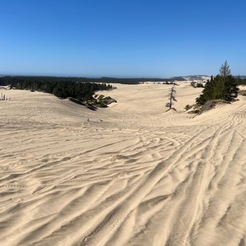 SPINREEL DUNE BUGGY & ATV RENTAL - Updated October 2025 - 94 Photos ...