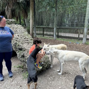 ZOOLOGICAL WILDLIFE FOUNDATION - Updated May 2025 - 918 Photos & 250 ...