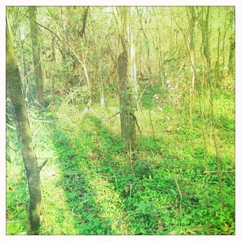 BIVENS ARM NATURE - Updated December 2025 - 44 Photos - 3650 S Main St ...