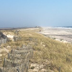ORIENT BEACH STATE PARK - 85 Photos & 32 Reviews - 40000 Main Rd ...