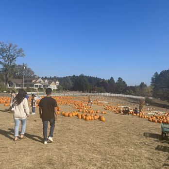 ROLOFF FARMS - Updated September 2025 - 291 Photos & 128 Reviews ...