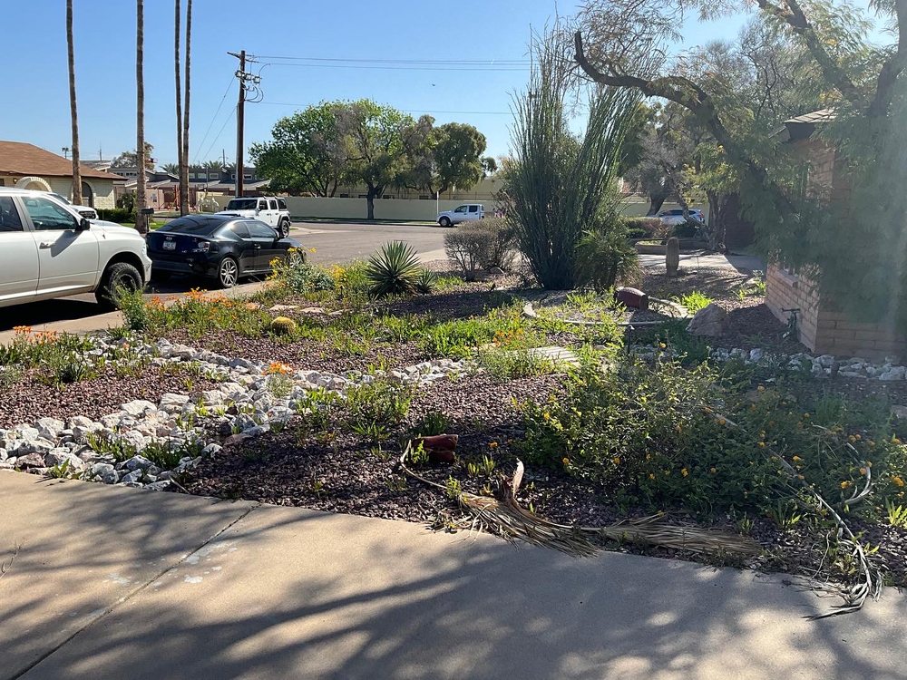 WEED GUARD PEST & WEED CONTROL - Updated April 2025 - 14 Photos ...