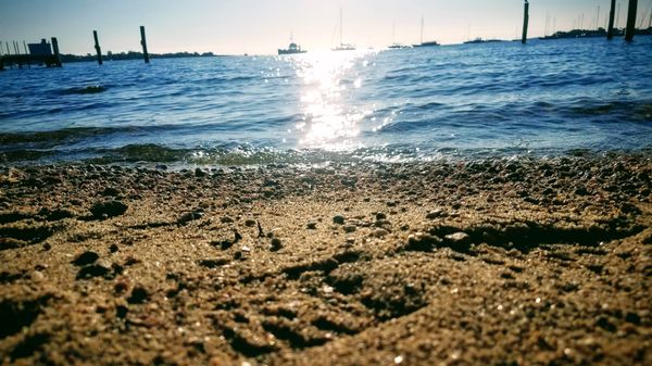 RAM ISLAND ADVENTURES - 10 Photos - Mystic, CT - Yelp