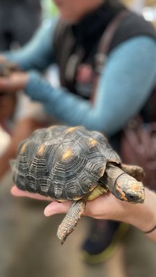 EAST BAY VIVARIUM - 394 Photos & 530 Reviews - Reptile Shops - 1827 5th ...