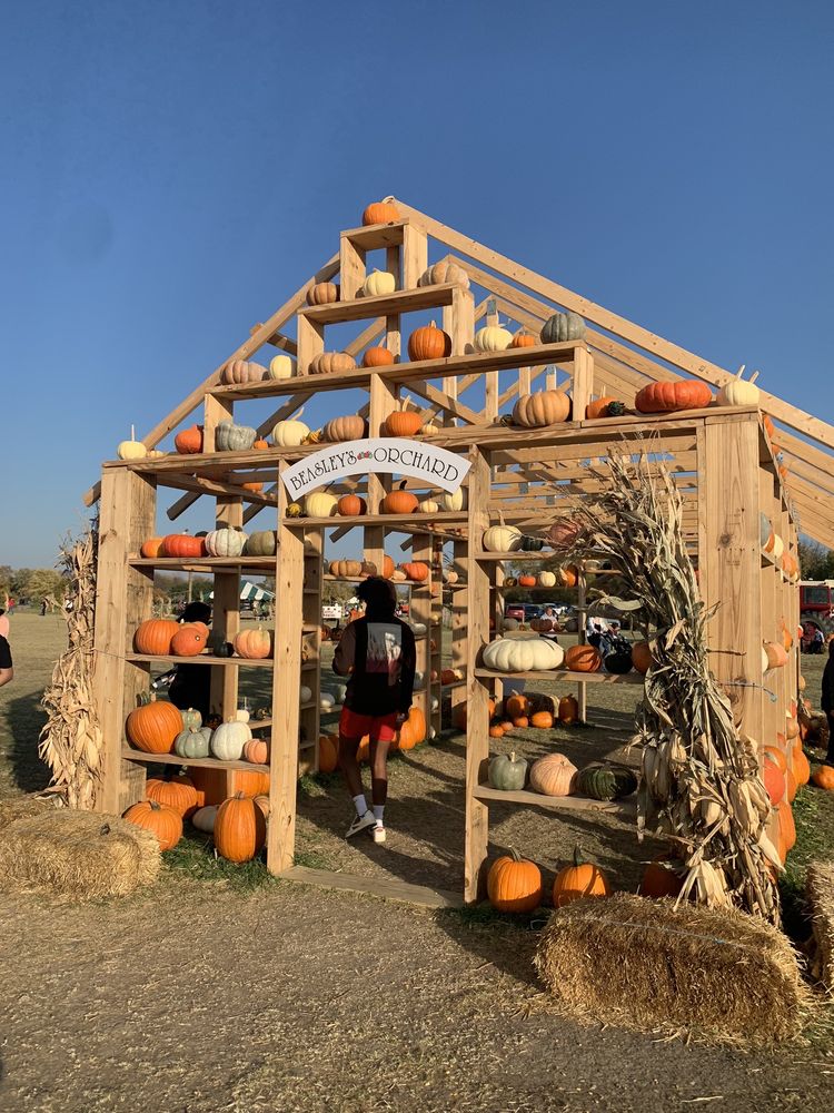 Beasley's Orchard, Danville | Roadtrippers