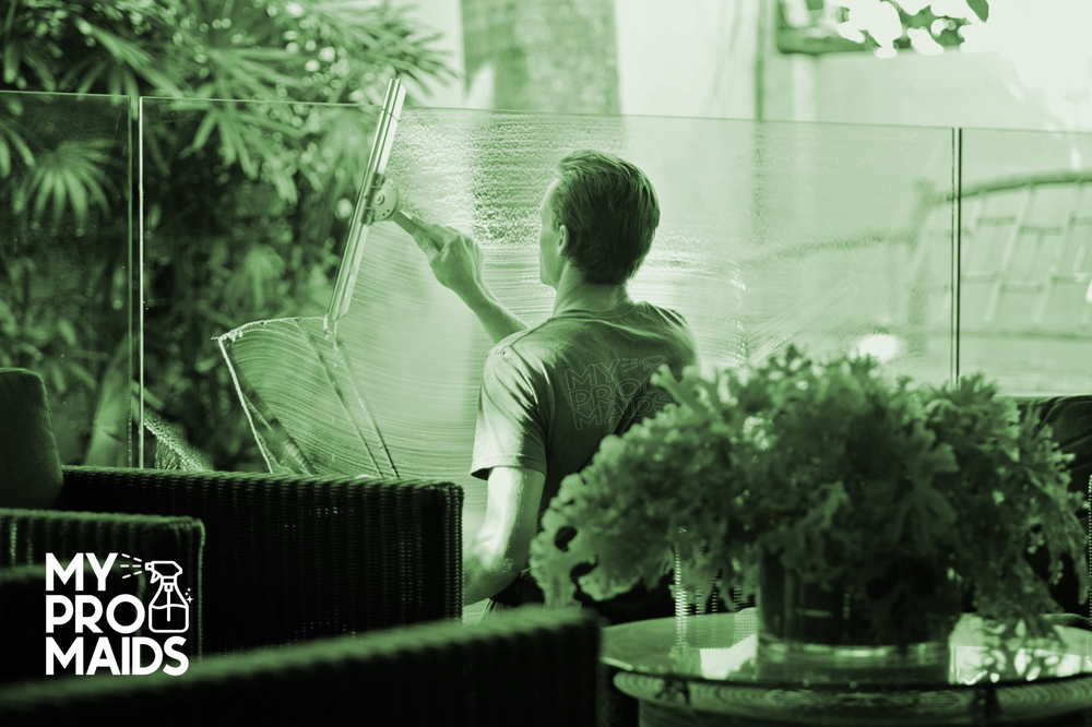 MY PRO MAIDS - Updated January 2025 - Request a Quote - Washington ...