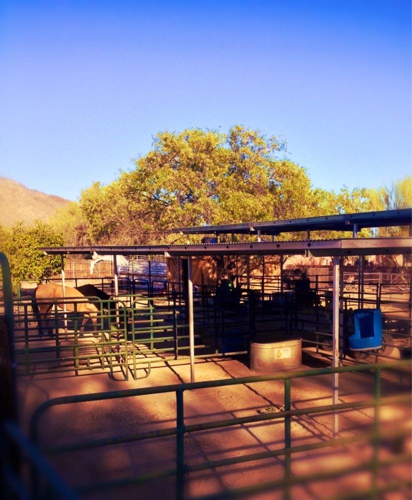 SHOOFLY STABLES - Updated August 2025 - 1230 Carroll Eastern Rd NE ...