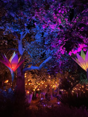 LIGHTSCAPE SAN DIEGO - Updated October 2025 - 250 Photos & 59 Reviews ...