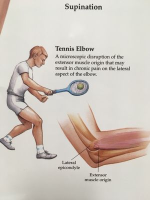 ORTHOARIZONA - ARCADIA - Updated December 2025 - 29 Photos & 60 Reviews ...