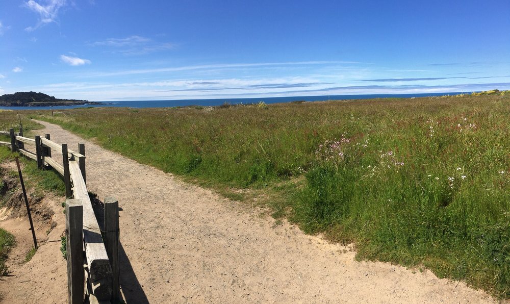 MENDOCINO VILLAGE COTTAGES - 21 Photos - 45320 Little Lake St ...