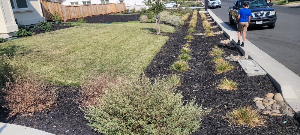 VALENCIA LANDSCAPING - Updated March 2025 - Request a Quote - San Jose ...