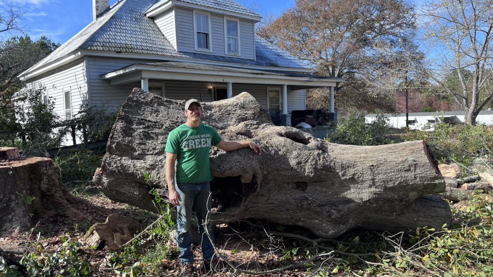ADAMS TREE SERVICE - TEMP. CLOSED - Updated March 2025 - Fountain Inn ...