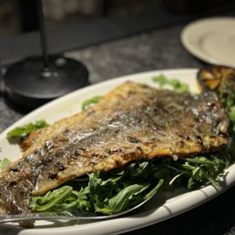 PUMA DETROIT - Updated December 2025 - 130 Photos & 44 Reviews - 4725 ...