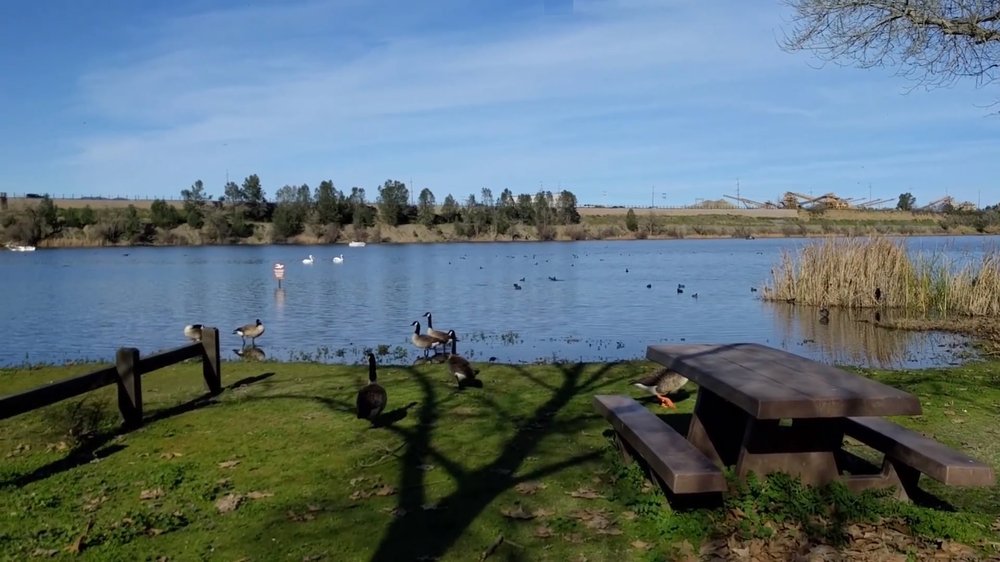 SHADOW CLIFFS REGIONAL RECREATION AREA MARINA - 10 Photos - 2500 ...