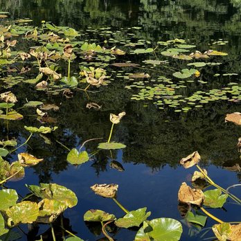 LAKE FENWICK PARK - Updated May 2025 - 127 Photos & 30 Reviews - 25828 ...