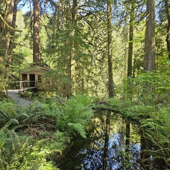 TREEHOUSE POINT - Updated December 2025 - 288 Photos & 118 Reviews ...