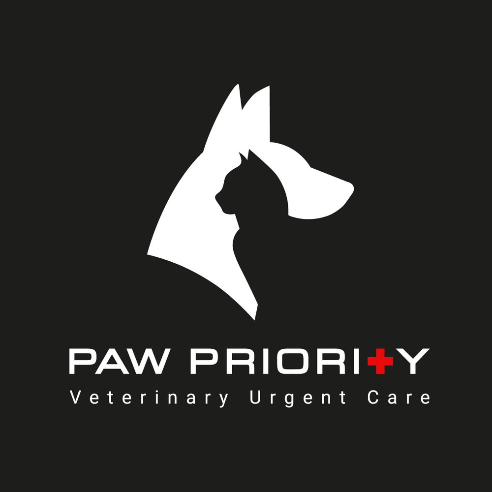 PAW PRIORITY - Updated December 2024 - Request Consultation - 8020 Melrose Ave, Los Angeles ...