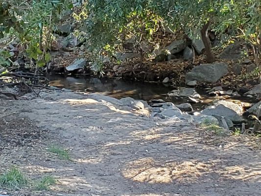 SABERCAT CREEK TRAIL - Updated October 2025 - 287 Photos & 24 Reviews ...