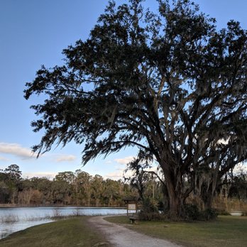 PEDRICK POND PARK - Updated December 2025 - 59 Photos - 1583 Pedrick Rd ...
