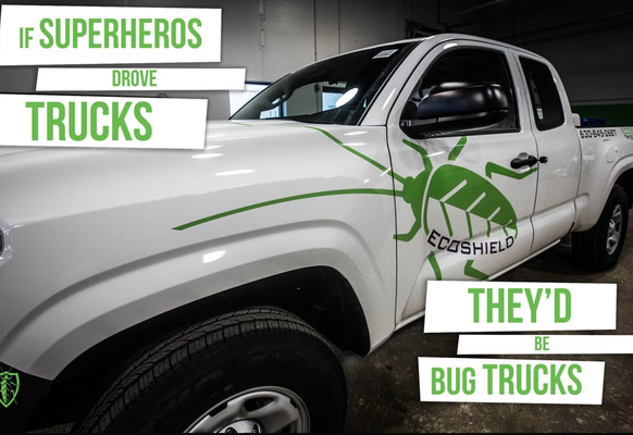 ECOSHIELD PEST SOLUTIONS - Updated December 2025 - 45 Photos & 210 ...