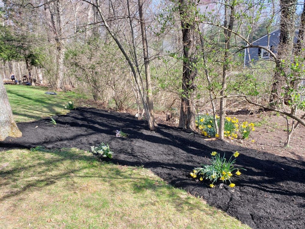 HIGH PERFORMANCE TREE & LAWN - Updated December 2025 - 10 Photos ...