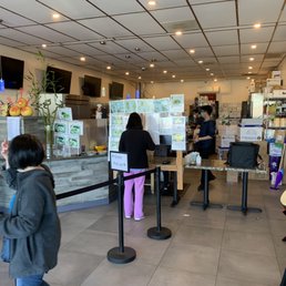 D T DIM SUM & TEA - Updated November 2025 - 3191 Photos & 551 Reviews ...