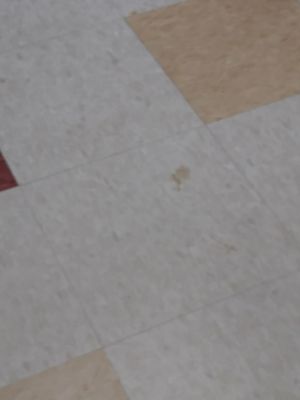 JOHN H STROGER JR HOSPITAL OF COOK COUNTY - Updated October 2025 - 21 ...