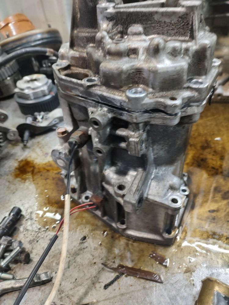 IMPORT AUTOMOTIVE PROFESSIONALS - Updated October 2025 - 14 Photos ...