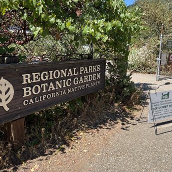 REGIONAL PARKS BOTANIC GARDEN AT TILDEN - Updated December 2025 - 258 ...