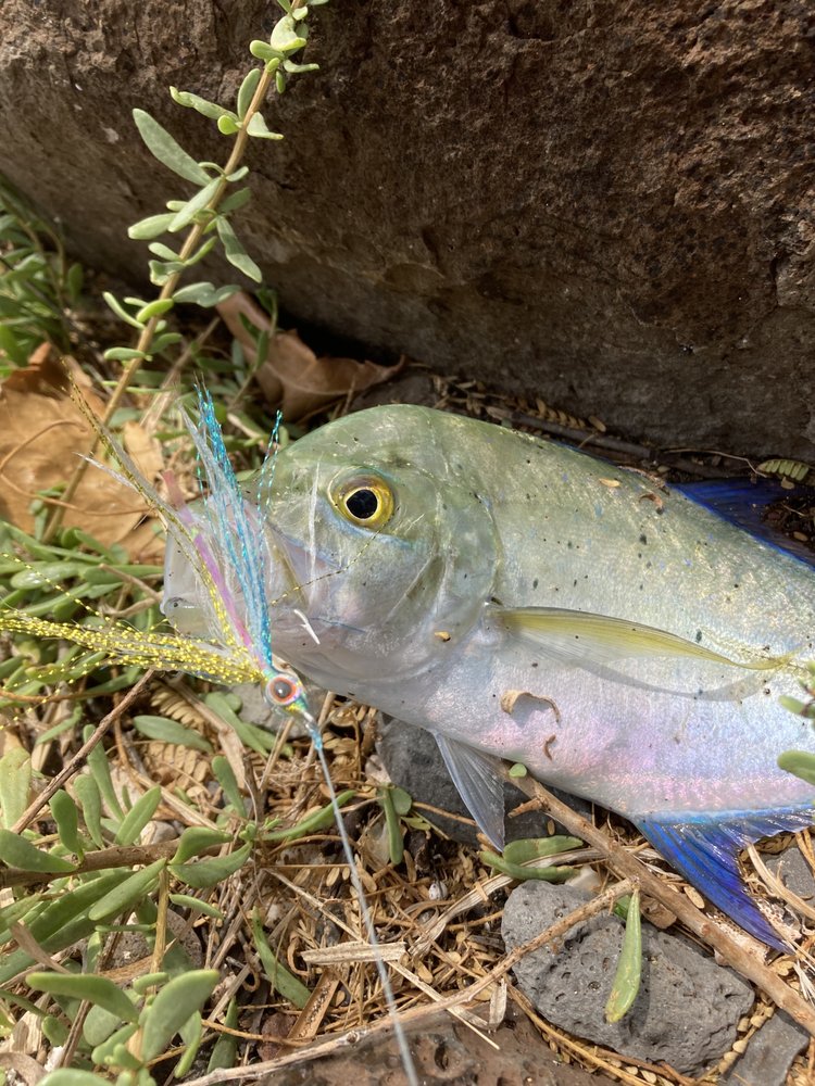 MAKAI OHIA’I MAUI FISHING - Maui, Hawaii - Fishing - Phone Number - Yelp