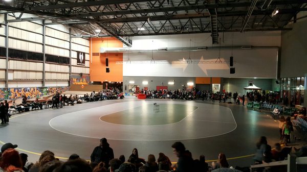 LE TAZ SKATEPARK - Updated April 2025 - 24 Photos & 11 Reviews - 8931 ...