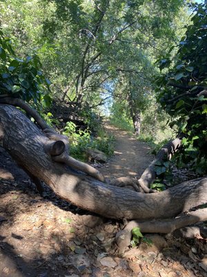 FRYMAN CANYON PARK - Updated June 2024 - 263 Photos & 108 Reviews ...