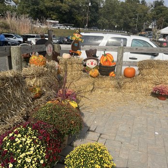 DEMAREST FARM - Updated September 2025 - 834 Photos & 361 Reviews - 244 ...