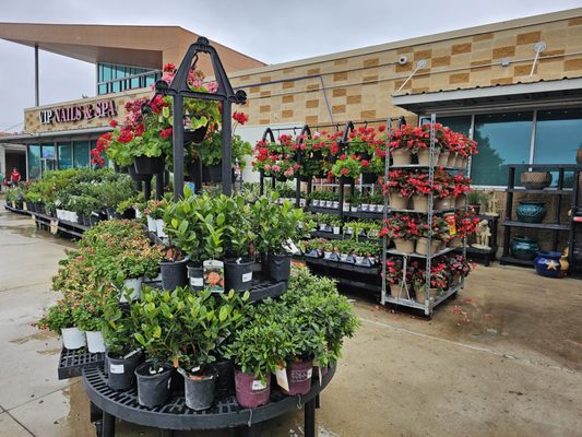 H-E-B PLUS! - Updated January 2026 - 454 Photos & 197 Reviews - 14028 N ...