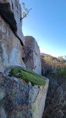 DEER PARK MONASTERY - Updated March 2025 - 423 Photos & 48 Reviews ...