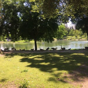DONNELLY PARK - 17 Photos & 21 Reviews - 600 Pedras Rd, Turlock ...