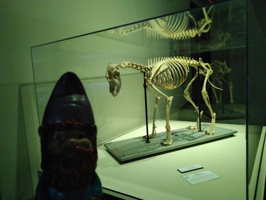 LAFAYETTE SCIENCE MUSEUM - Updated October 2025 - 119 Photos & 12 ...