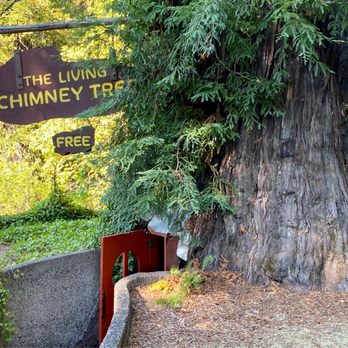 THE CHIMNEY TREE GRILL - Updated December 2025 - 112 Photos & 95 ...