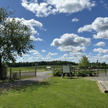 TOUGAS FAMILY FARM - Updated October 2024 - 368 Photos & 196 Reviews ...