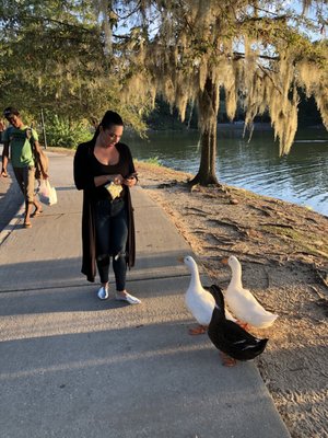 Parks - LAKE ELLA PARK - 132 Photos & 50 Reviews - N Monroe And S Lake ...