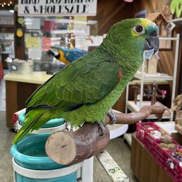 MAGNOLIA BIRD FARM - Updated December 2025 - 152 Photos & 212 Reviews ...