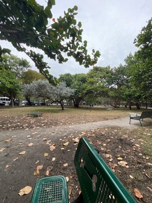 NORTH BEACH OCEANSIDE DOG PARK - Updated April 2025 - 7929 Atlantic Way ...