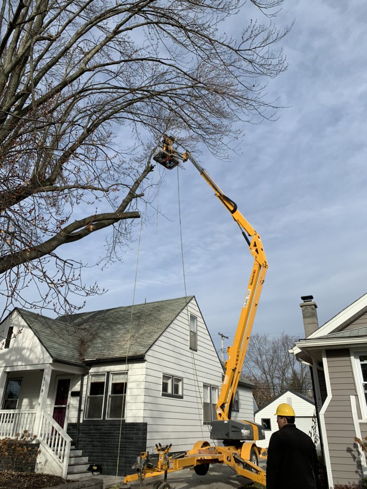 ALAN’S TREE SERVICE - Updated December 2025 - 22 Reviews - 56 Florence ...