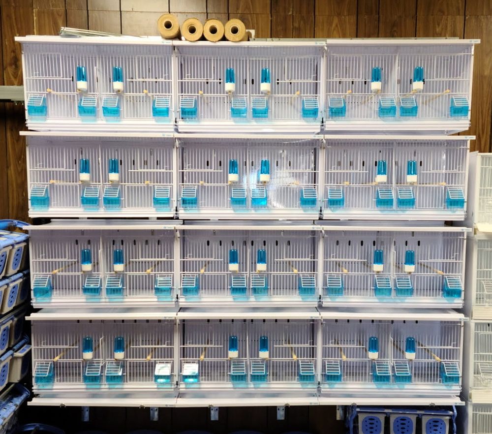 ABBA BIRD SEED - Updated January 2026 - 17 Photos - 38 Long Ave ...