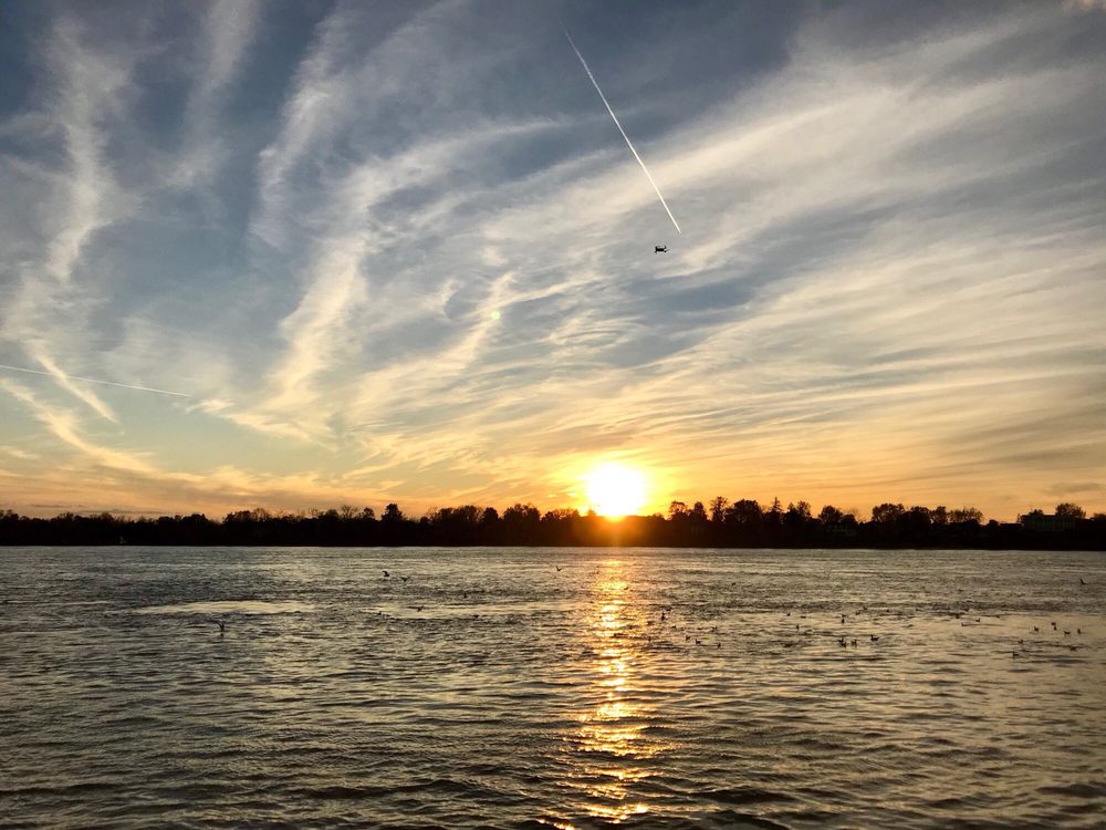 UNITY ISLAND PARK - 27 Photos - Hiking - Niagara St Between Amherst And ...