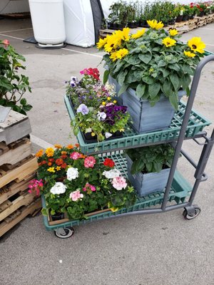 FLEET FARM - Updated December 2025 - 11 Photos & 15 Reviews - 3815 W ...