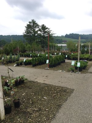 MUSSER FORESTS - Updated December 2025 - 1880 Route 119 Hwy N, Indiana ...